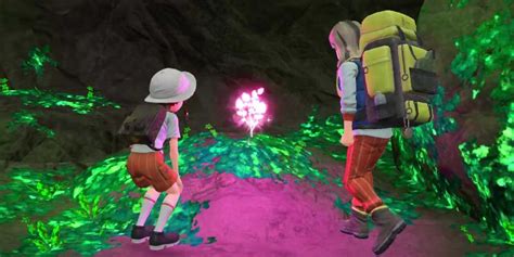How To Get Herba Mystica In Pokemon Scarlet And Violet