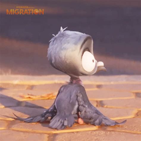 Migrationmovie Giphyupload Laugh Duck Marriage 