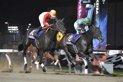 【川崎競馬 スパーキングレディーc】アーテルアストレア重賞3勝目 菱田「この馬のリズムで」 スポニチ競馬web