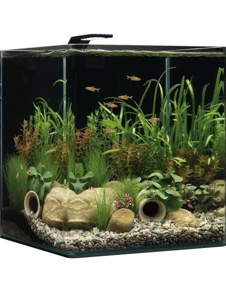 Dennerle NanoCube 60