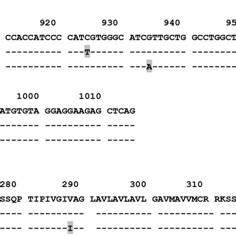A The Nucleotide Sequence Alignment Of The Exon 5 Sequences And Of Download Scientific