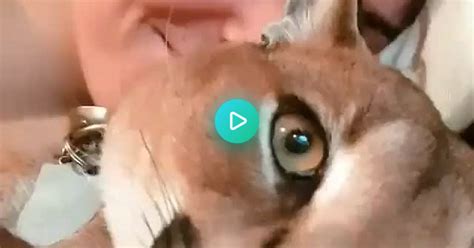 Awkward Album On Imgur