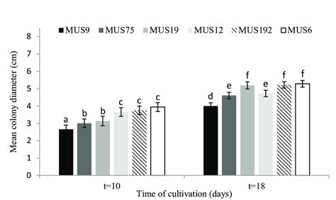 Effect Of Strain On Ganoderma Lucidum Mycelial Growth After 10 And 18 Download Scientific