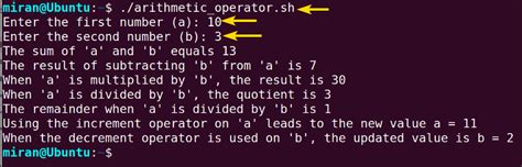 Bash Operator Linuxsimply