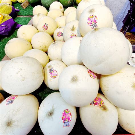 Australia Sugar Candy Melon Fresh Fruits Singapore Fruits Express Delivery