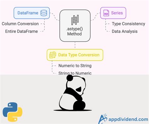 appdividend on linkedin converting columns to string in pandas dataframe