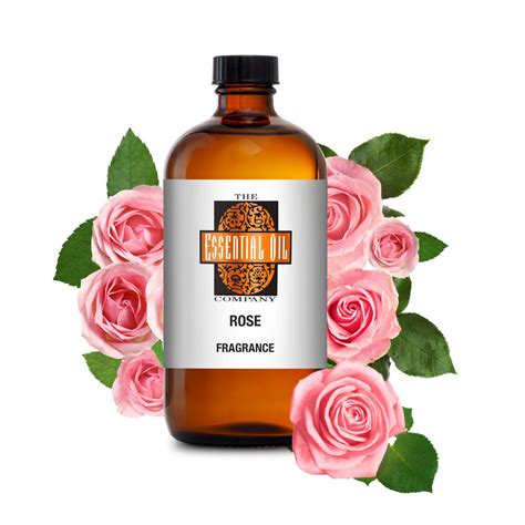 New Rose Fragrance Oil — The Essential Oil Company