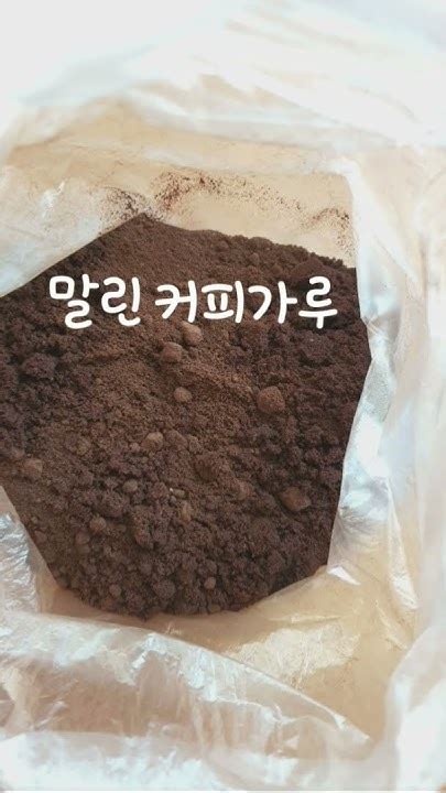 천연 식물 영양제 만들기 계란껍질비료 양파껍질비료 커피가루비료 홍삼즙비료 Plant Food Youtube