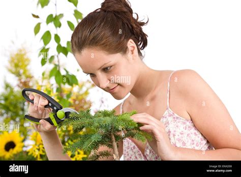 Gardening Woman Cutting Tree With Pruning Shears Stock Photo Alamy