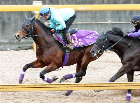 チャンピオンズc勝ち馬ジュンライトボルトのサウジc参戦が正式決定 競馬ニュース