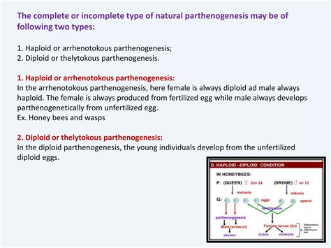 Parthenogenesis Natural Parthenogenesis Artificial Parthenogenesis Pptx