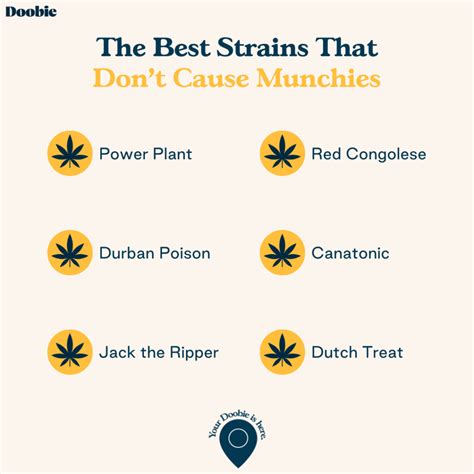 The Best Weed Strains To Avoid The Munchies Doobie