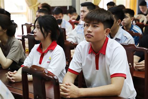 Ch Ng Tr Nh O T O K N Ng V Nh H Ng Ngh Nghi P D Nh Cho Sinh Vi N Bci Do Lg Display Vi T