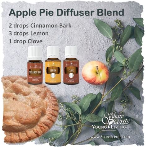 Heres A Great Way To Enjoy The Scent Of Fresh Baked Apple Pie Without