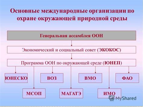 Международные организации в области охраны окружающей среды презентация доклад проект скачать