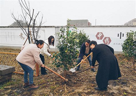 3月春来，宁波东钱湖旅游学校党员带头添新绿