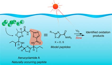 Addressing Singlet Oxygen Reactivity Of Environmentally Relevant Nrps