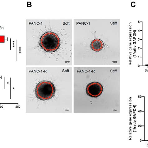 Substrate Stiffness In 2d And 3d Invasion A The 2d Cell Migration Of Download Scientific