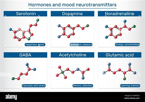 Hormones And Mood Neurotransmitters Serotonin Dopamine Noradrenaline Gaba Acetylcholine