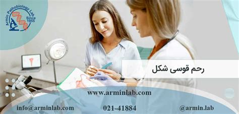 رحم قوسی آزمایشگاه آرمین بارداری رحم