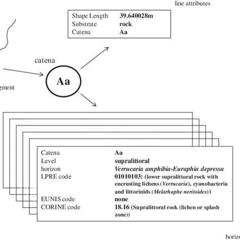overall representation of the information shown in arcmap after