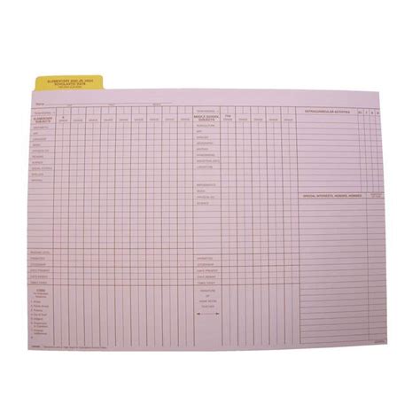 Data Insert For Cumulative Record Folder 9 X 1175 In Set Of 25 Data Insert For Cumulative Record Folder 9 X 1175 In Set Of 25