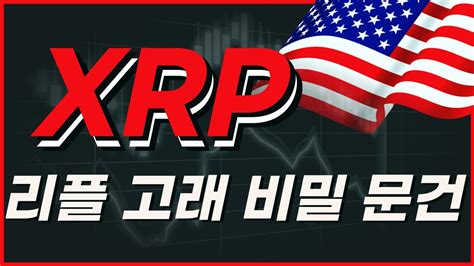 리플 리플고래 비밀문건 발견 Youtube