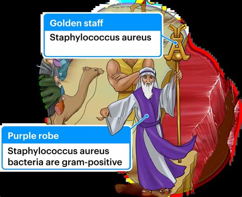 Make Learning Microbiology Unforgettable With Sketchy Micro