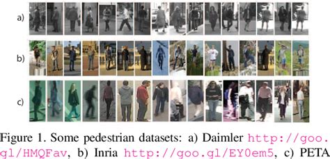 Figure 1 From Fpga Based Pedestrian Detection Under Strong Distortions