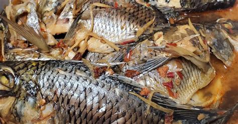 鯽魚料理 32 篇食譜與家常做法 Cookpad
