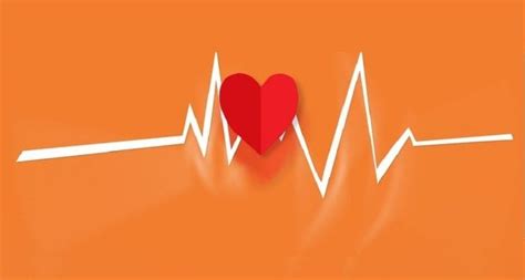 Lifestyle Modification Is Key To Preventing Cardiovascular Diseases Says Expert Whats Goin