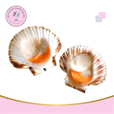 Frozen Half Shell Scallop Abc Frozen