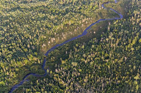 Jerry Monkman Ecophotography