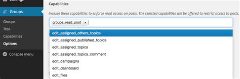Options Itthinx Documentation