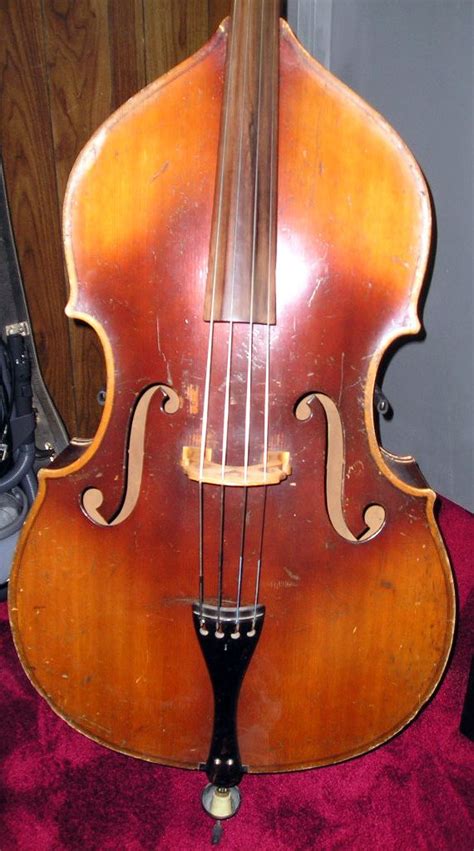 Upright Bass Native Instruments At Jose Kennedy Blog