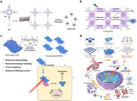 Porphyrin Based Cofs A Tapt Dhta Cof B 3d Porphyrin Based Cofs