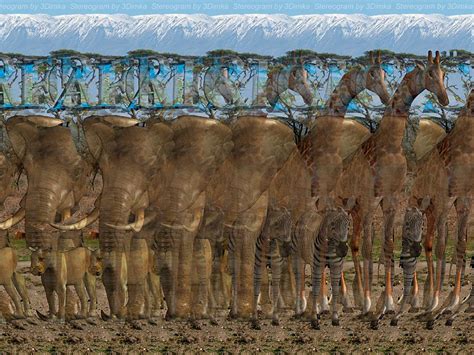 Wallpapers Pictures Photos 3d Stereograms Pictures