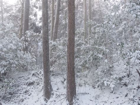 広島県の「雪事情」とは？【地域差大・豪雪地帯も】 奈良まちジオグラフィック