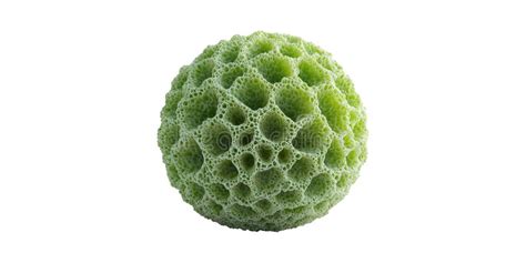 Porous Sphere Structure Stock Illustrations 427 Porous Sphere Structure Stock Illustrations