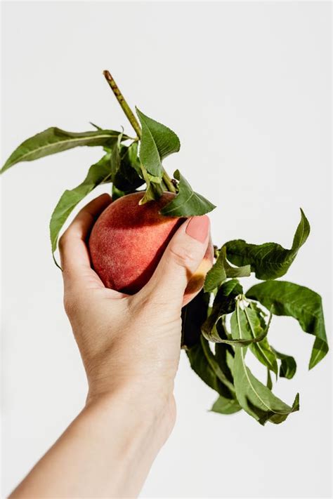 4 Natural Remedies For Low Libido The Good Trade