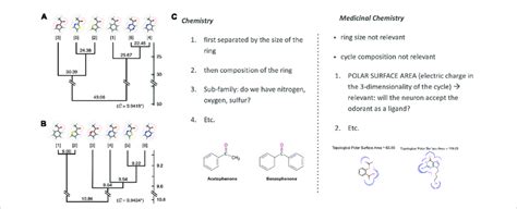 Classification Of Odorant Similarity According To Analytic And