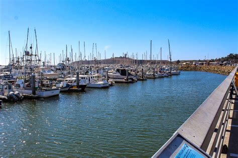 Things To Do In Half Moon Bay Ca Wander With Wonder