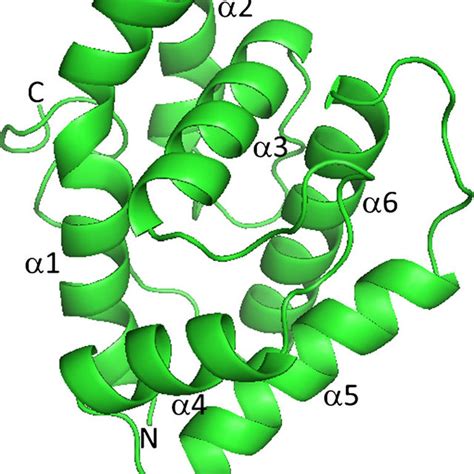 Phylogenetic Tree Of Candidate Odorant Binding Proteins Obps From