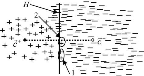 Rocchio Classifier Is Unable To Remove Some Positive Examples In U