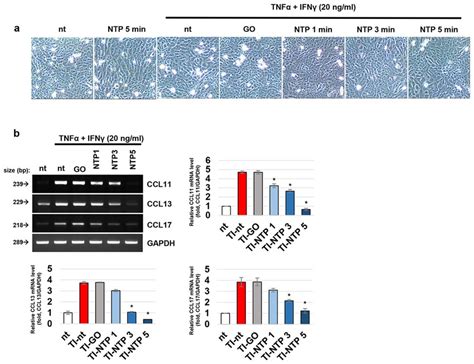 Ntp Inhibits Tnfα And Ifnγ Mediated Immunological Responses Of Hacat Download Scientific
