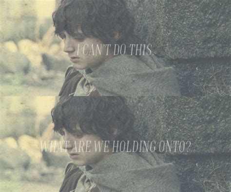 What Are We Holding Onto Sam The Hobbit Frodo Baggins Lotr