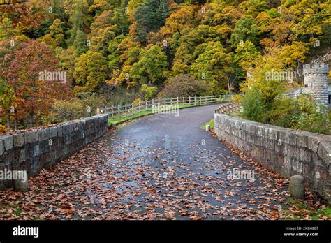 23 October 2022 Moray Scotland This Is A Display Of The Autumn