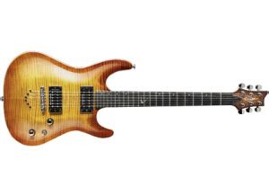 VGS Electric Guitars (18 products) - Audiofanzine