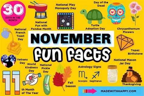 November Fun Facts 2025 Saki Dewoude