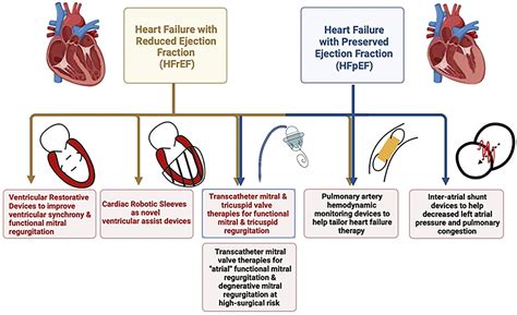 Frontiers Heart Failure Syndrome With Preserved Ejection 56 Off